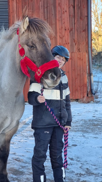 Jullovsridning på Lunk i kring | Volontärbyrån